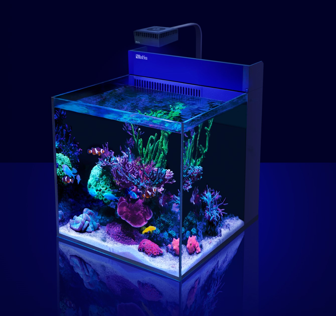 Akvária a akvarijné sety - Morské akvárium